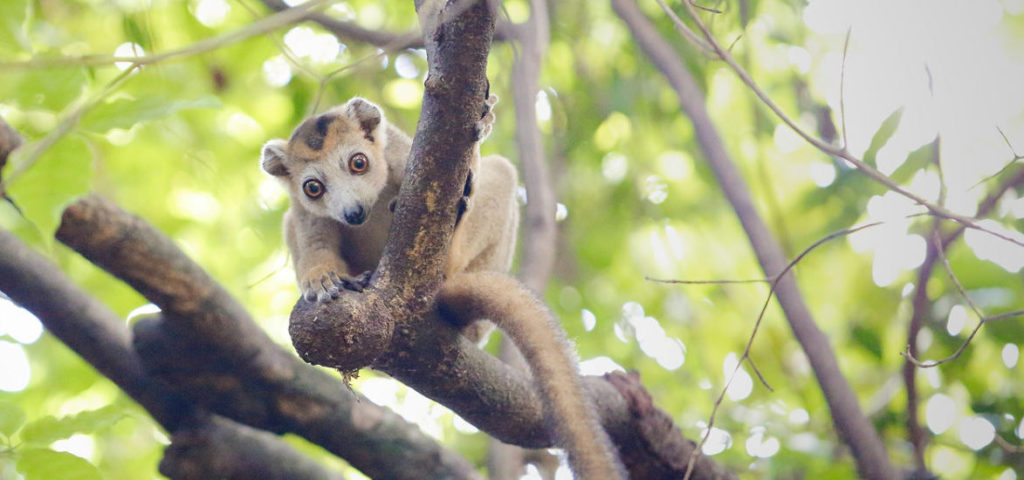 Read all you need to know before going on any Tours in Cambodia & Laos